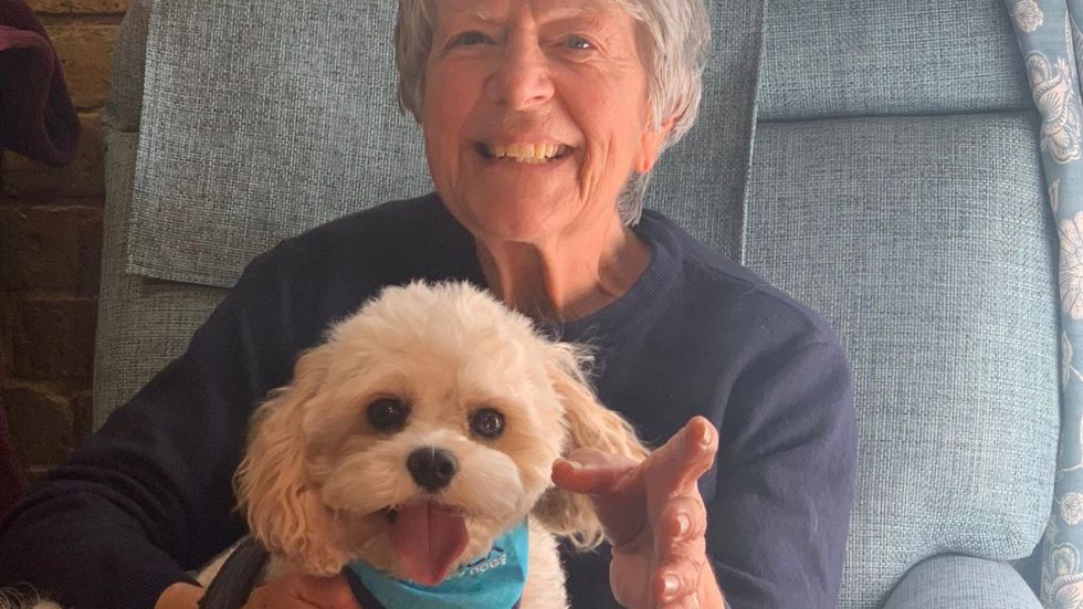 Essex Therapy Dogs Visit | Action for Family Carers